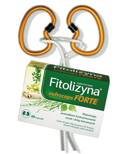 Fitolizyna Nefrocaps Forte, 60 kapsułek – opinie, skład i cena ️ ...